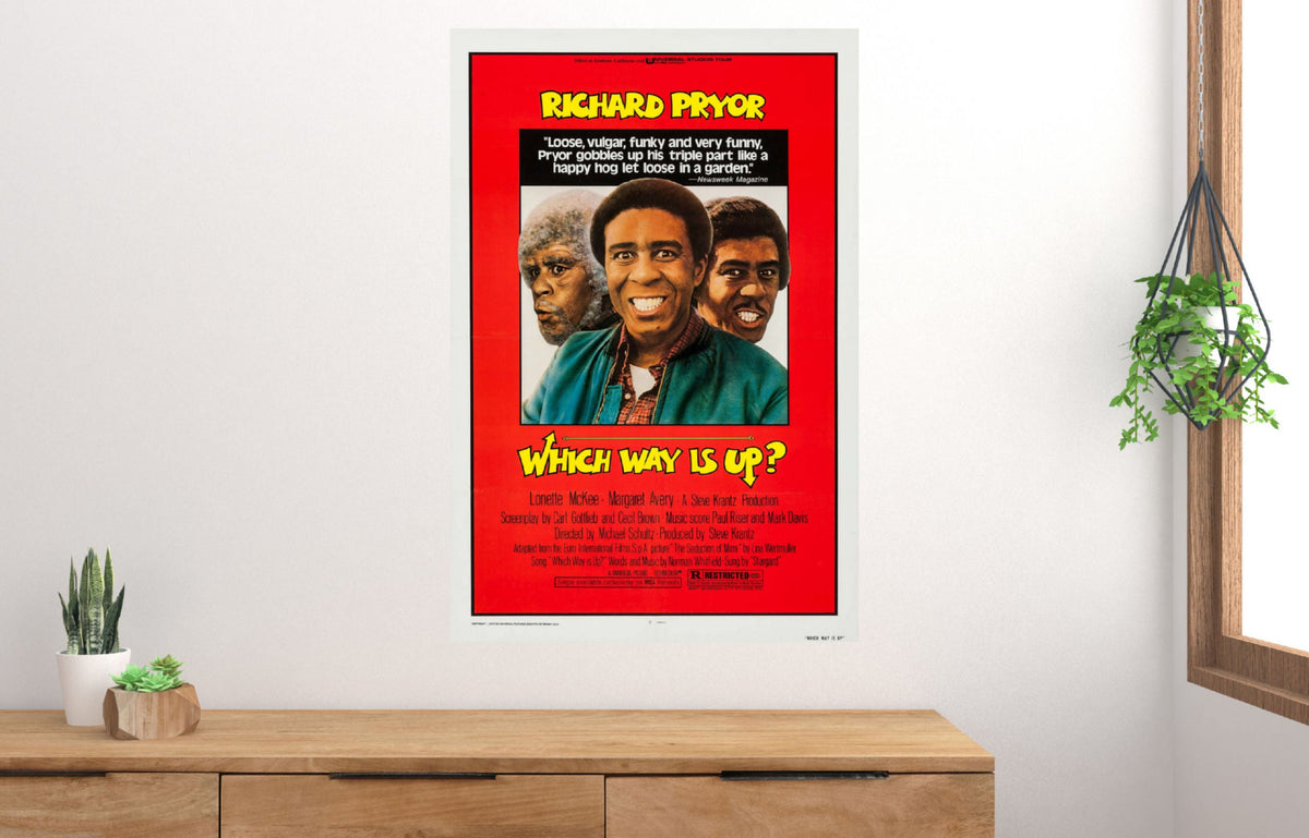 Which Way Is Up Poster 16x24 – Social Comedy Wall Art | The Poster Depot