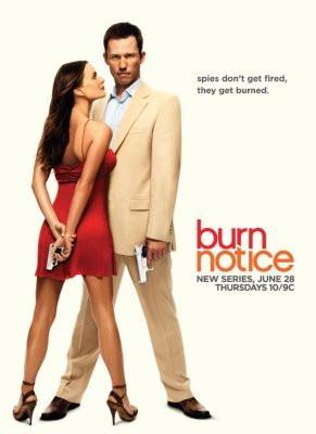Burn Notice poster Metal Sign Wall Art 8in x 12in 12"x16" – The Poster ...